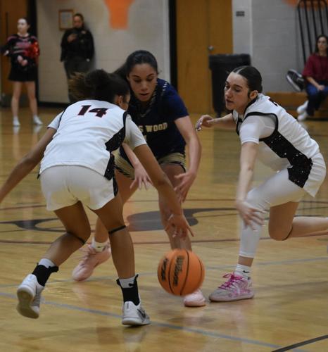 Ryan scores 30, Sherando defeats James Wood | Winchester Star ...