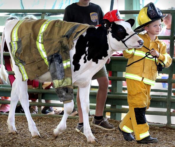Pretty Animal Contest | Winchester Star | winchesterstar.com