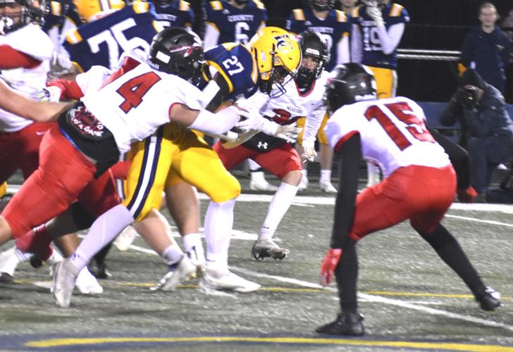 Loudoun County runs past Sherando | Winchester Star | winchesterstar.com