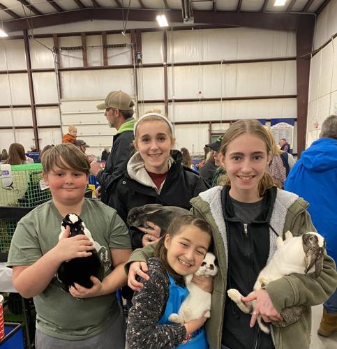 Bunny lovers hop into Rabbit 101 workshops | Winchester Star ...