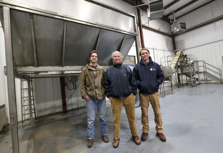 Hard cider presents new opportunities for local apple industry ...