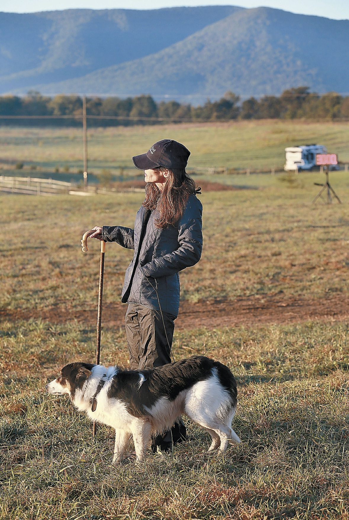 National Sheepdog Finals packed with sheer talent | News ...