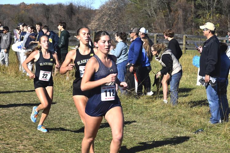 Wood's Konyar takes second in Class 4 cross country meet | Winchester ...