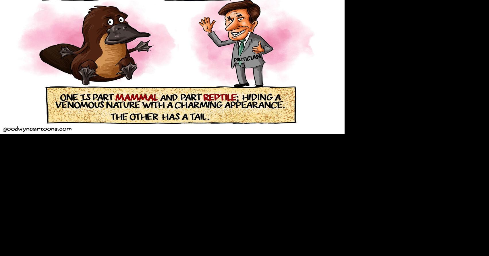 Cartoon | Winchester Star | winchesterstar.com