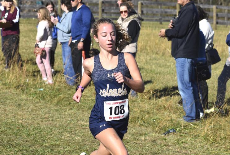 Wood's Konyar takes second in Class 4 cross country meet | Winchester ...