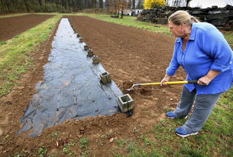 Mayfair Farm: The end of one dream, the start of another | Winchester ...