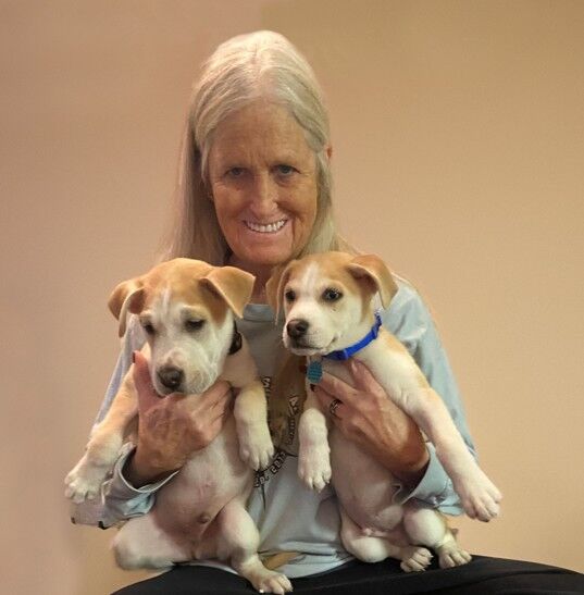 Deborah A. Miller | Obituaries | winchesterstar.com