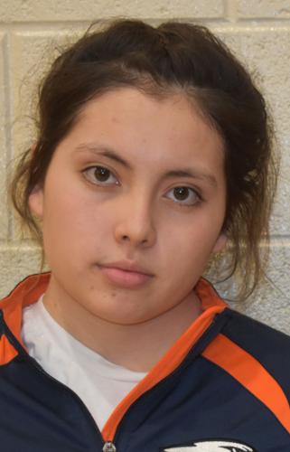 Girls' swimming outlook: Sherando's goals remain high | Winchester Star ...