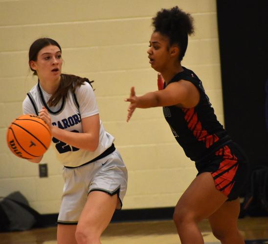 Tuscarora rallies in second half to beat Sherando girls for region ...