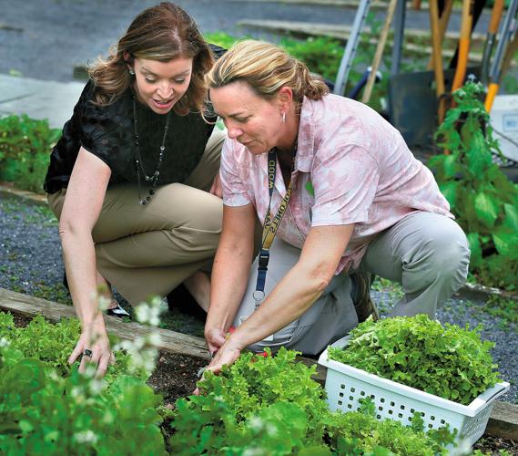 A community garden takes root | Health | winchesterstar.com