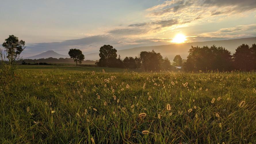 Shenandoah Valley Battlefields National Historic District marks 25 ...