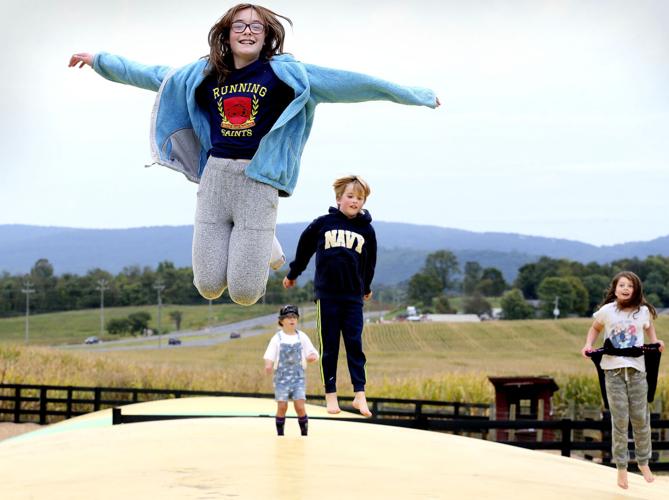 Wayside Farm Fun | Winchester Star | winchesterstar.com