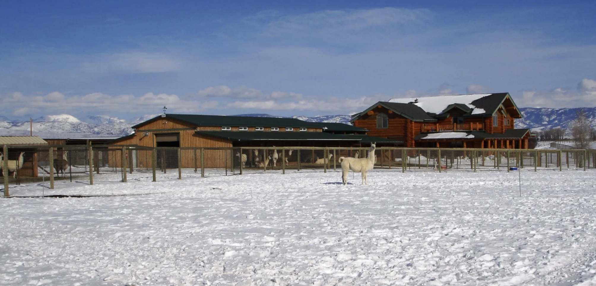 Wyoming ranch donated to nonprofit that helps people overcome trauma ...