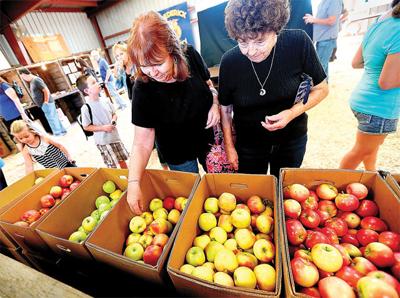 There's enough apples for everyone at annual festival | Lifestyles ...