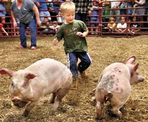 Little girl with big voice wins fair contest | News | winchesterstar.com