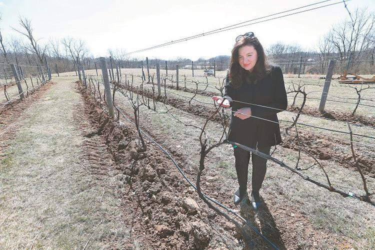 From the field to the bottle | Food | winchesterstar.com