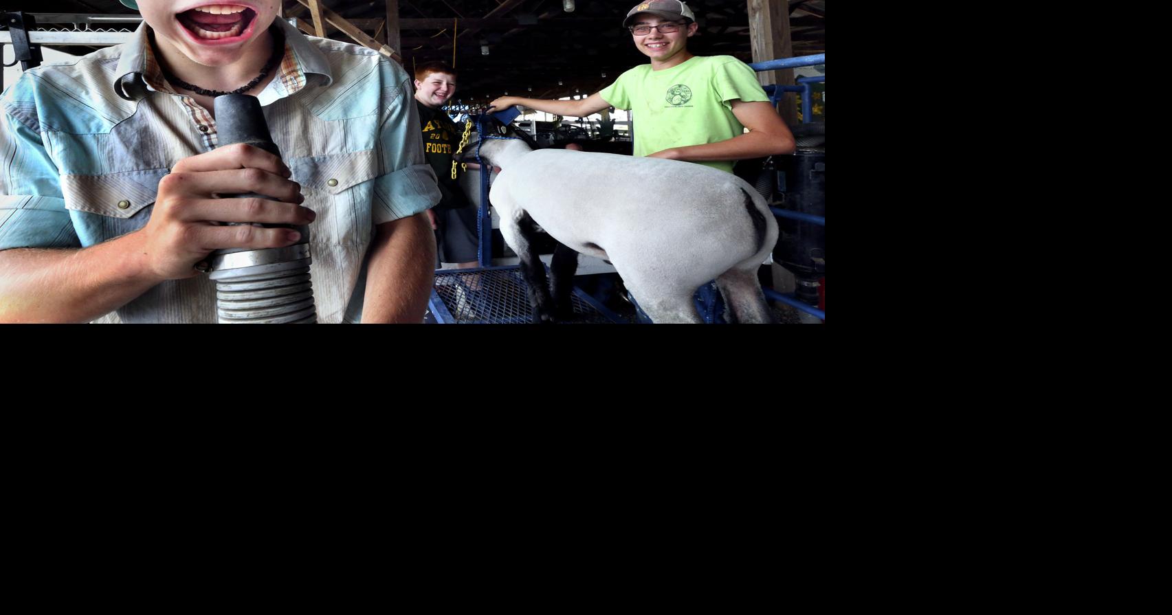 Fair Humor | Winchester Star | winchesterstar.com