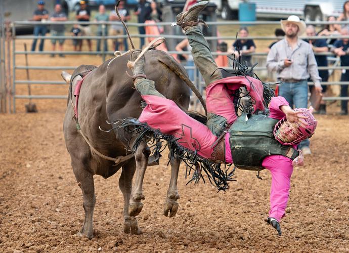 Warren County Fair opens with fan favorites and new events | Winchester ...