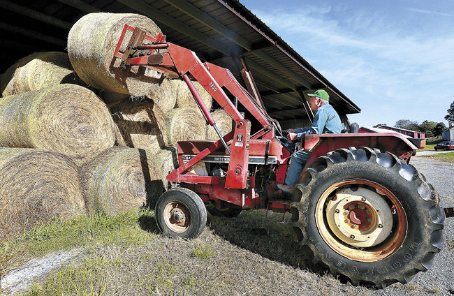 Farmhand celebrates 50 years on the job | News | winchesterstar.com