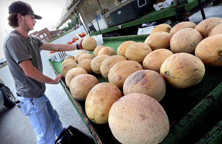 Summer goodness | Winchester Star | winchesterstar.com