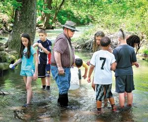 Brook trout swim free in Redbud Run | News | winchesterstar.com