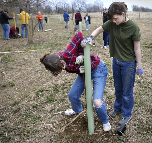 CCHS students find out planting trees is a hard, yet beneficial, task ...