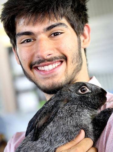 Big hop in number of rabbits being exhibited at fair | Winchester Star ...