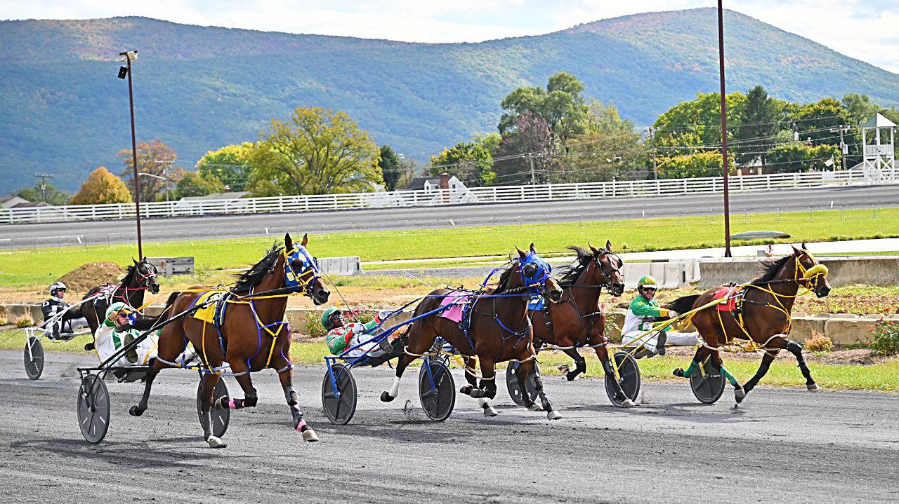 Shenandoah Downs ready for second spring season of harness racing ...