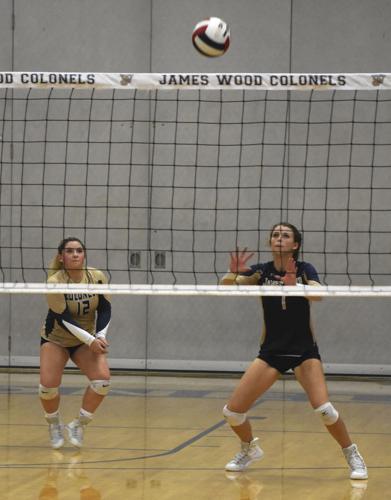 Millbrook volleyball sweeps Wood for district tourney title ...