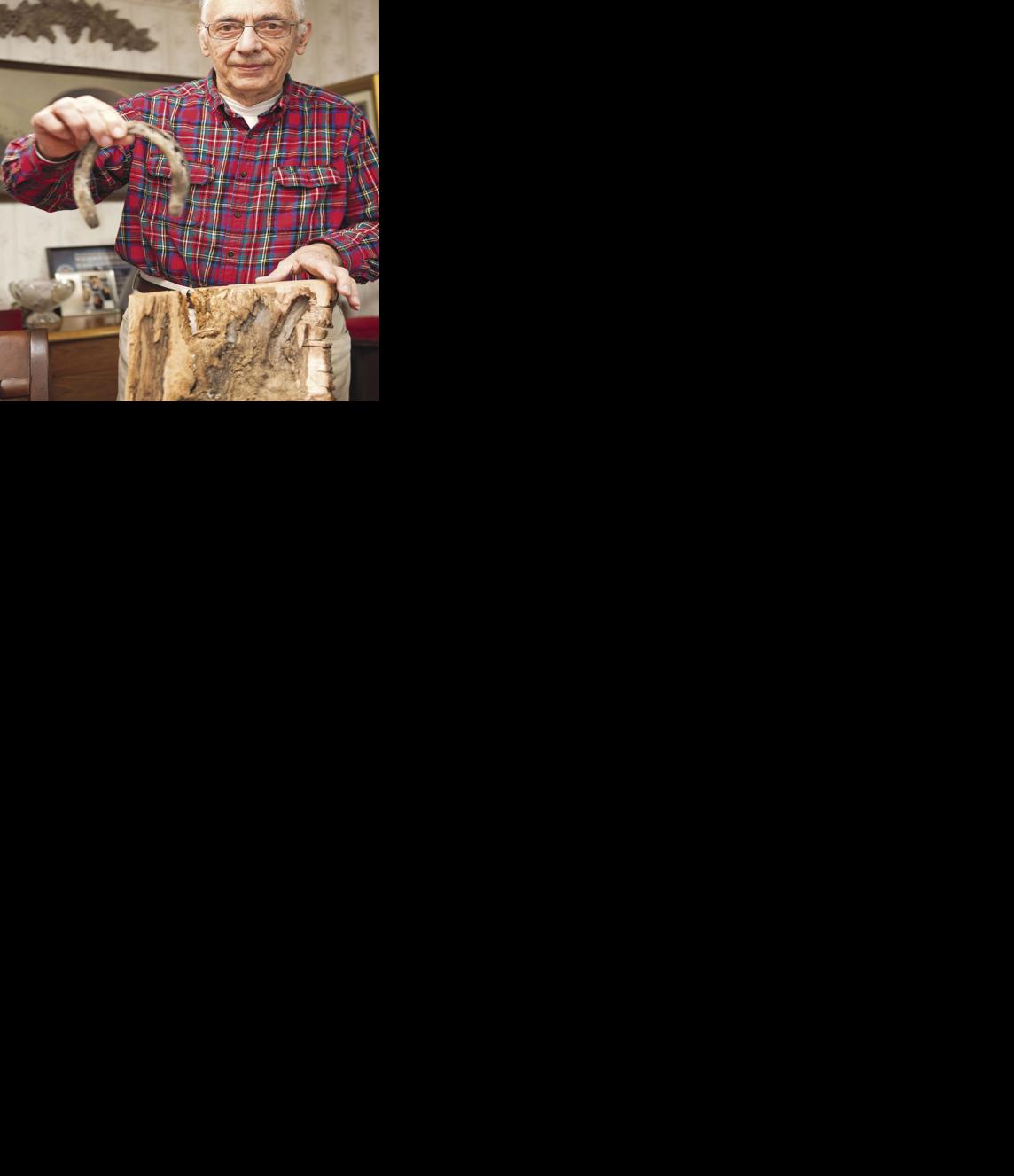 Good luck is found inside tree stump | Winchester | winchesterstar.com