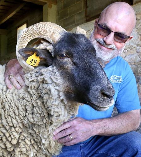 Historic place, historic livestock: A look into Frederick County’s ...