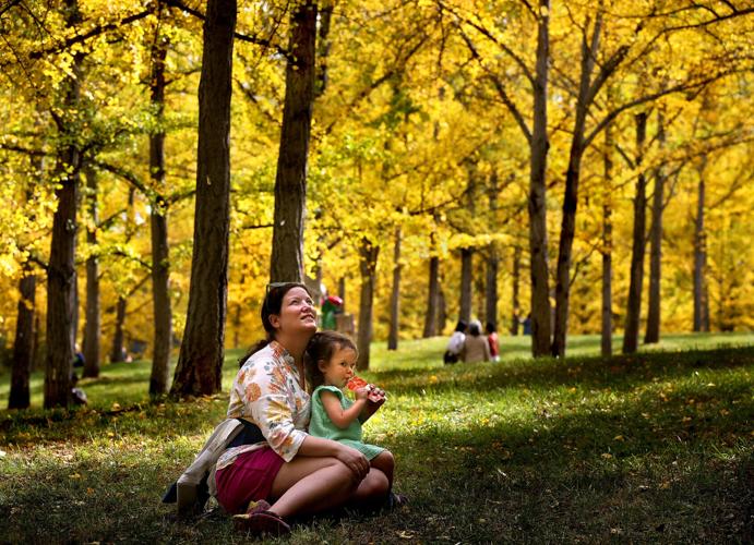 Golden glow | Winchester Star | winchesterstar.com