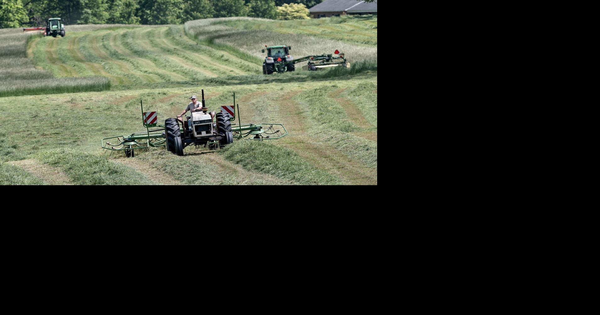 Making hay | Nvdaily | winchesterstar.com