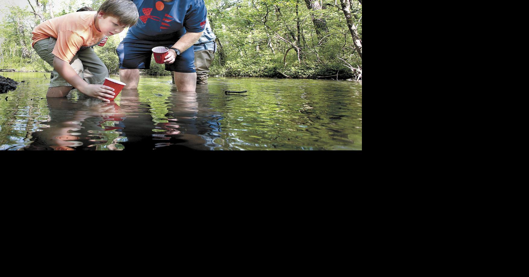 Organization helps students release trout they raised in classroom into ...