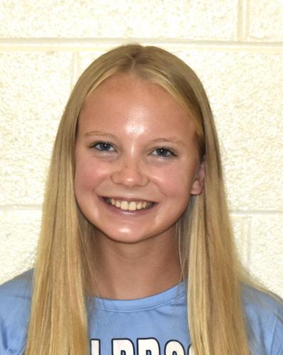 Area briefs: Millbrook volleyball trio earns All-State honors ...