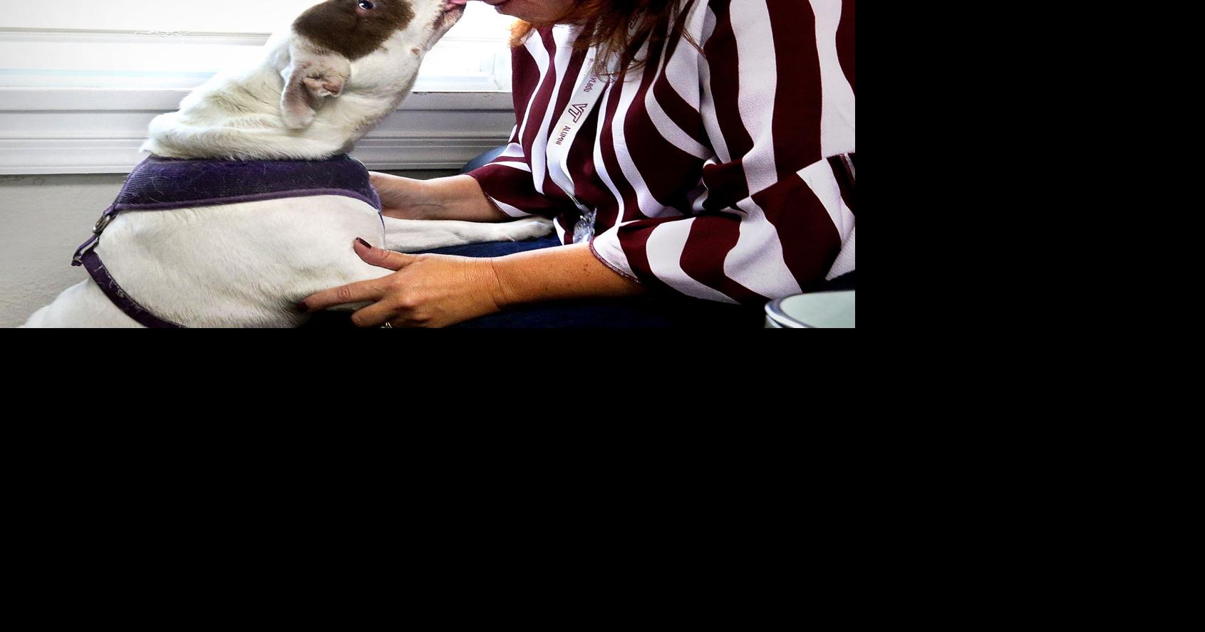 Vicki Frederick Happy Days