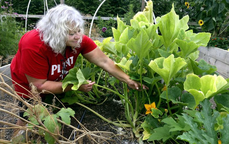 Church's community garden rooted in love, ingenuity | Winchester Star ...