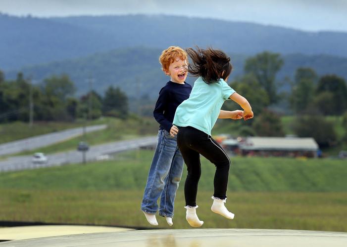 Wayside Farm Fun | Winchester Star | winchesterstar.com