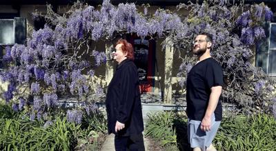 Wisteria Walk | Winchester Star | winchesterstar.com