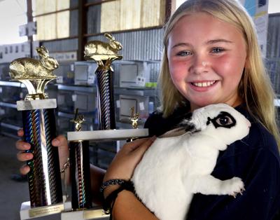 Winning rabbit | Winchester Star | winchesterstar.com