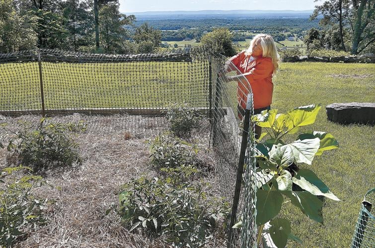 Woman launches personal chef business | Business | winchesterstar.com