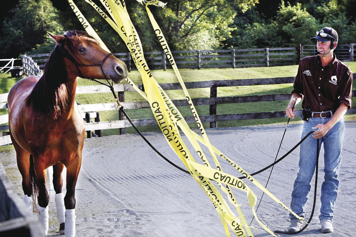 Tamed mustang takes to the stage in Clarke | News | winchesterstar.com