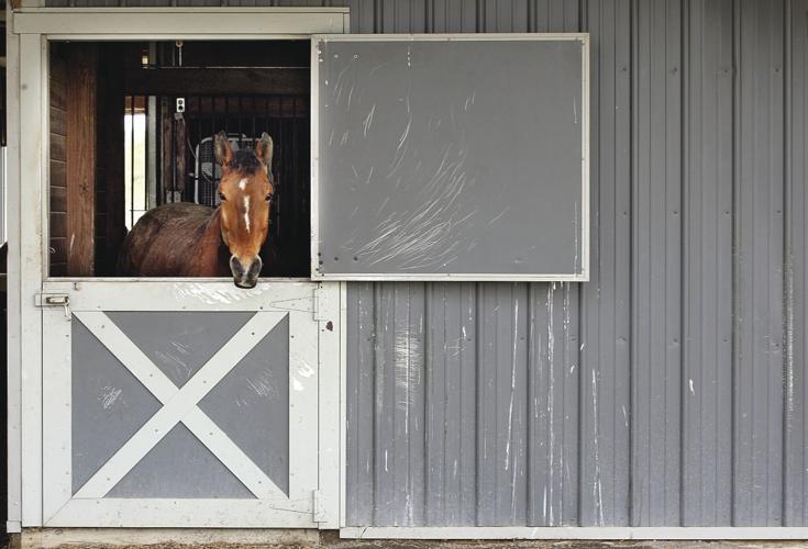 Farm tour to show off agriculture in Clarke County | News ...