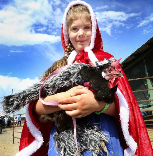 Pretty Animal Contest | Winchester Star | winchesterstar.com