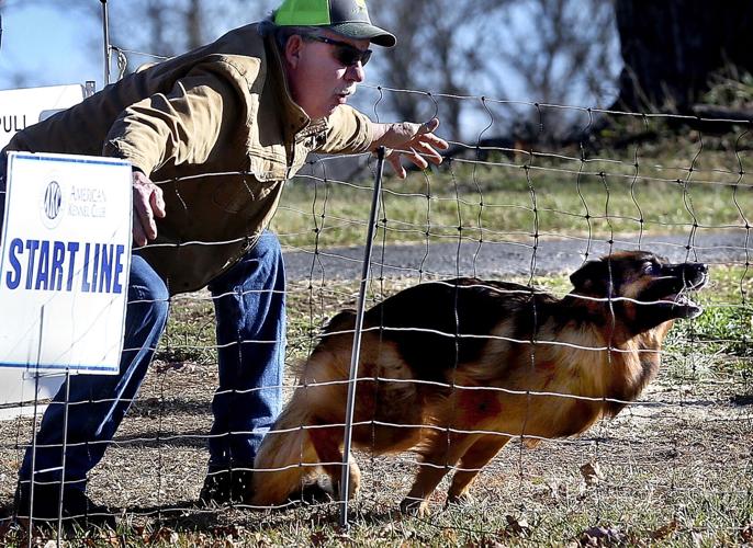 Off and running | Eedition | winchesterstar.com