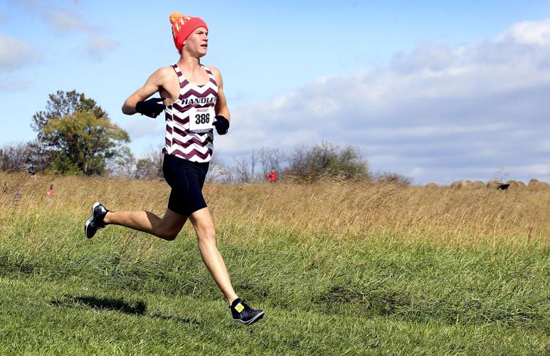 Cross country notebook: Sherando's Wallin earns first state berth ...