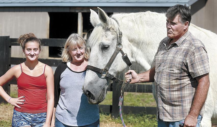 Horse thrives after rescue | News | winchesterstar.com