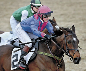 Blue Ridge Hunt point-to-point races bring out riders, watchers | News ...