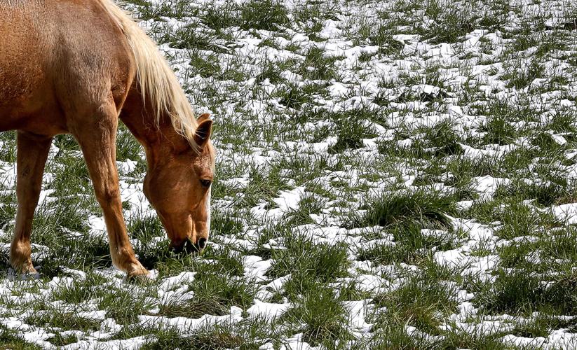 Snow be gone | Winchester Star | winchesterstar.com