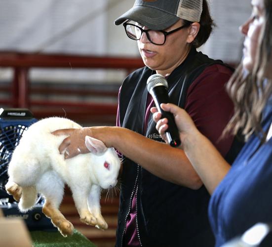 Hoppy times: Rabbits take center stage at Frederick County Fair | News ...